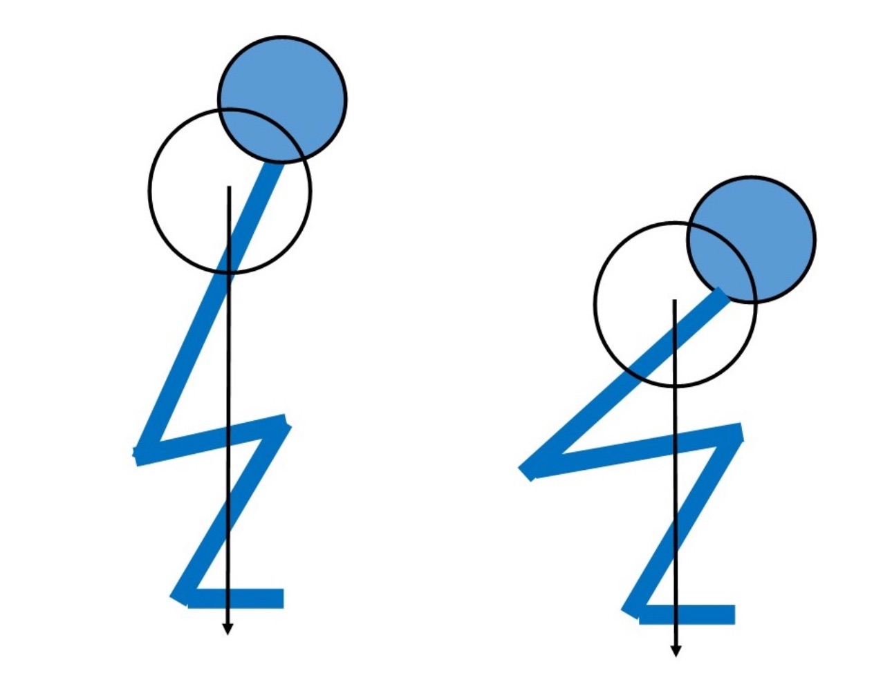 Squat Mechanics: Why Your Body’s Biomechanics Shape Your Squat – Sports ...